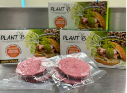 Novel Moringa oleifera Seed Protein Isolates for Plant-Based Burger ...